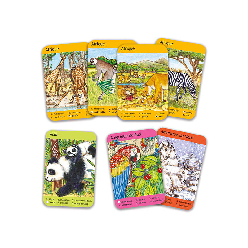 7 Families Card Game - Animals of the World